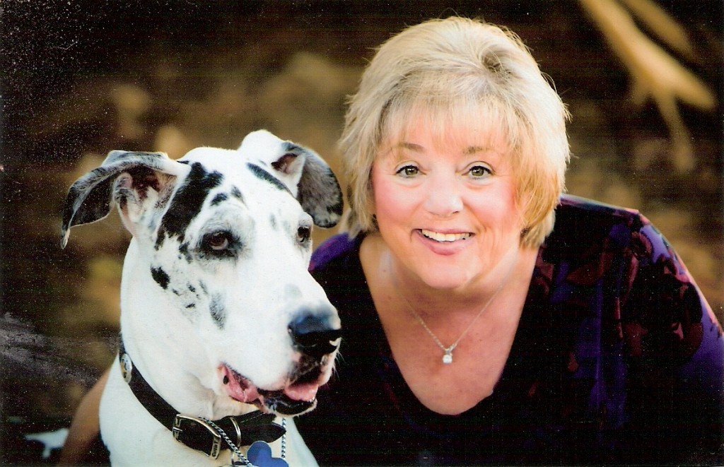 Scooby 9/09/13 - Great Dane Rescue of Southeast Texas – Save a Dane – GDRST